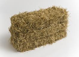 Straw Bale | Pet, Horse & Farm Horse Bedding – Pet Horse & Farm